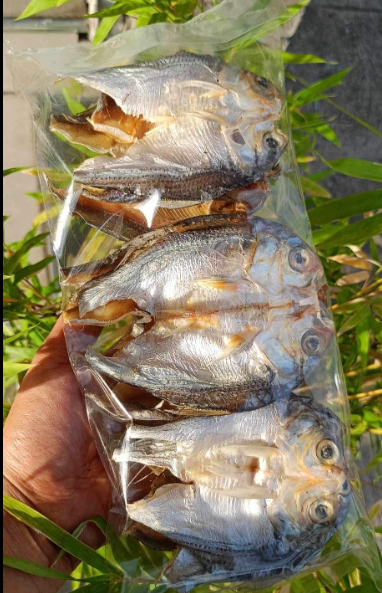 DRIED FISH (TUYONG KABASI) - 100 grams - Capa's